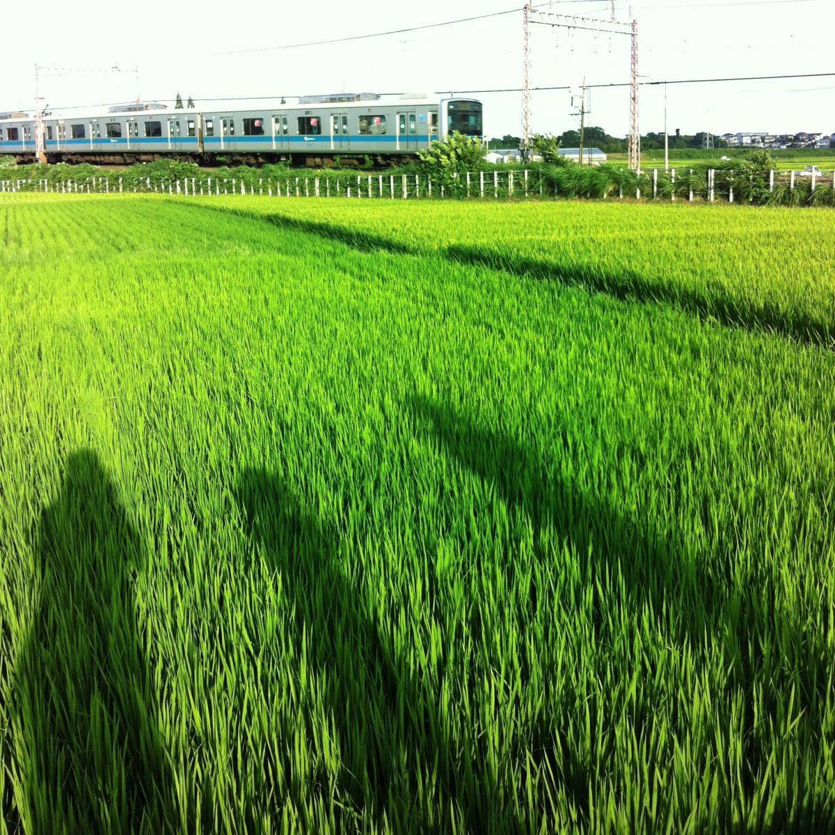 facsimile of our smiling face | GANREF