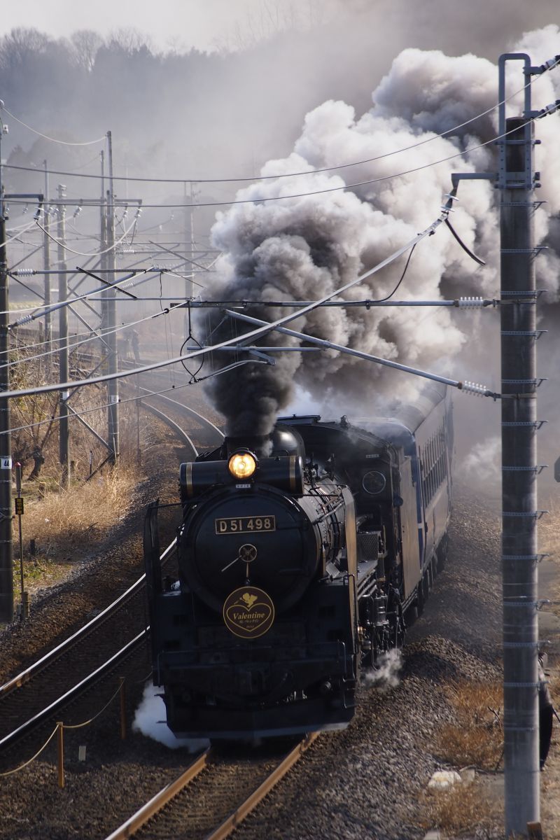 D51-498 SLバレンタイン | GANREF