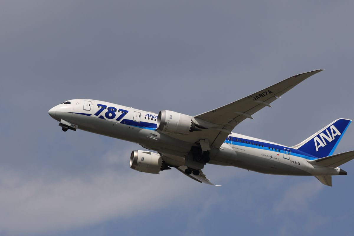 ANA Boeing 787-8 Dreamliner | GANREF