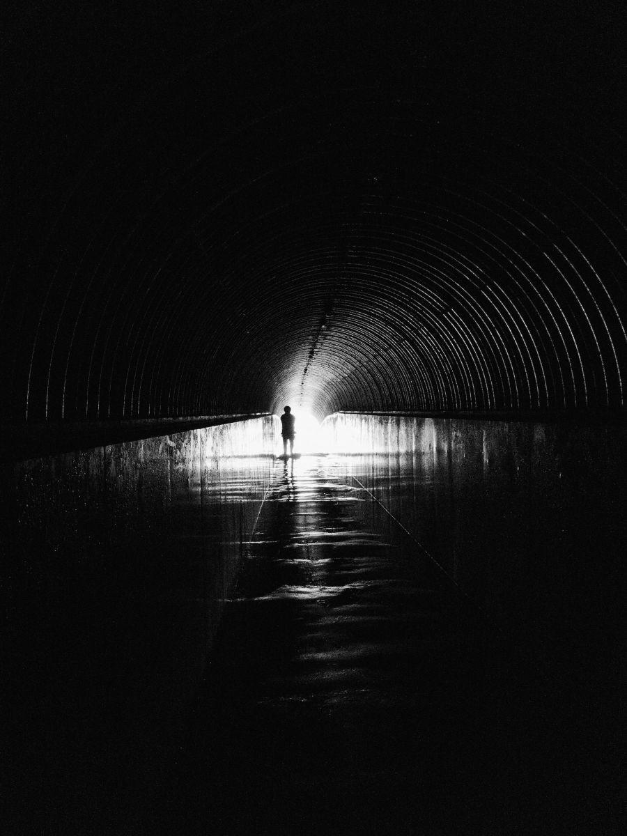 unknown world | GANREF