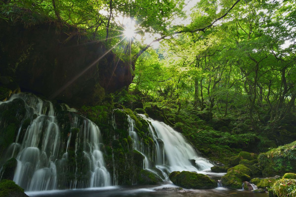 Grace of God | GANREF