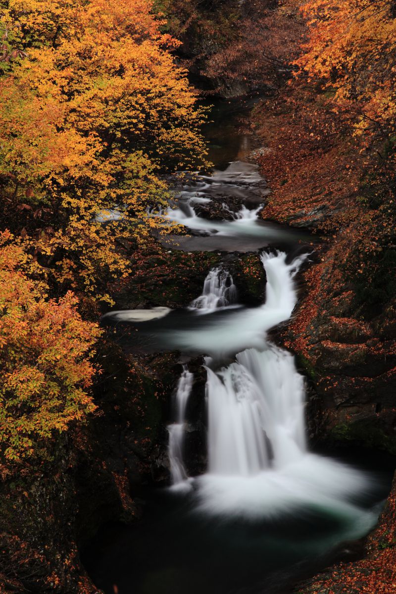 AKI48 2011年ver. | GANREF