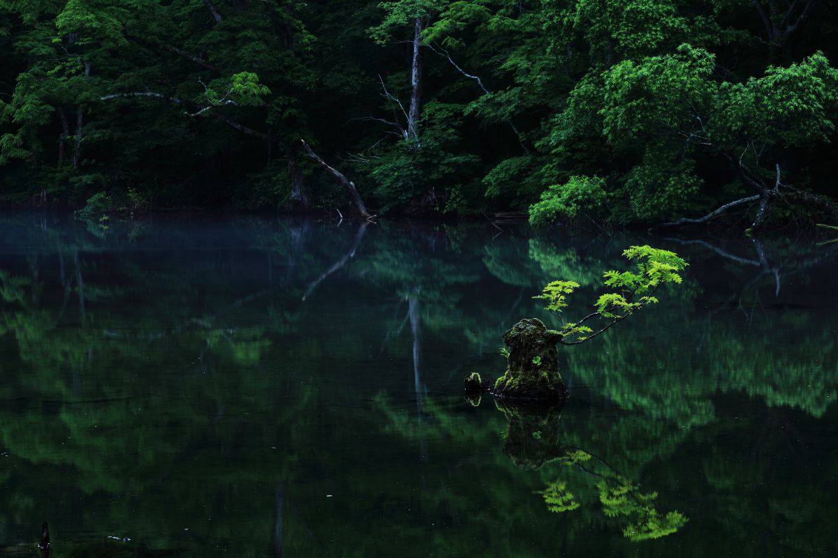 silent as the grave | GANREF