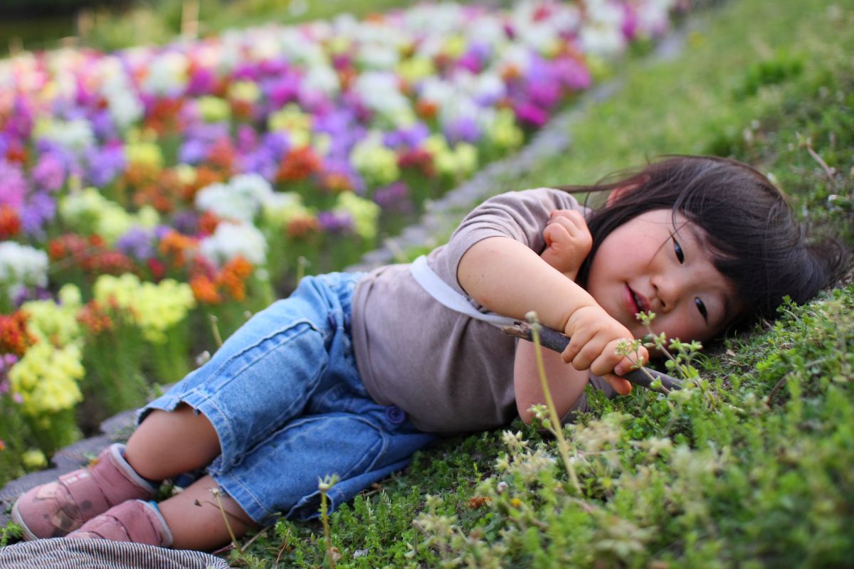 春、満喫 | GANREF