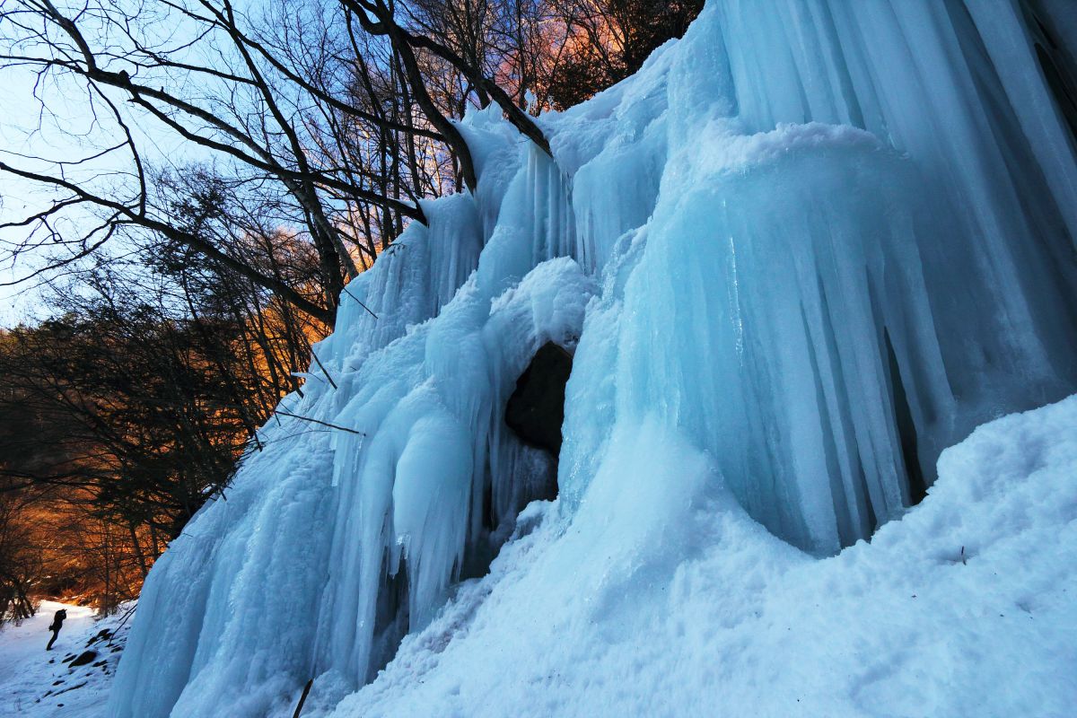 ICEモンスター | GANREF