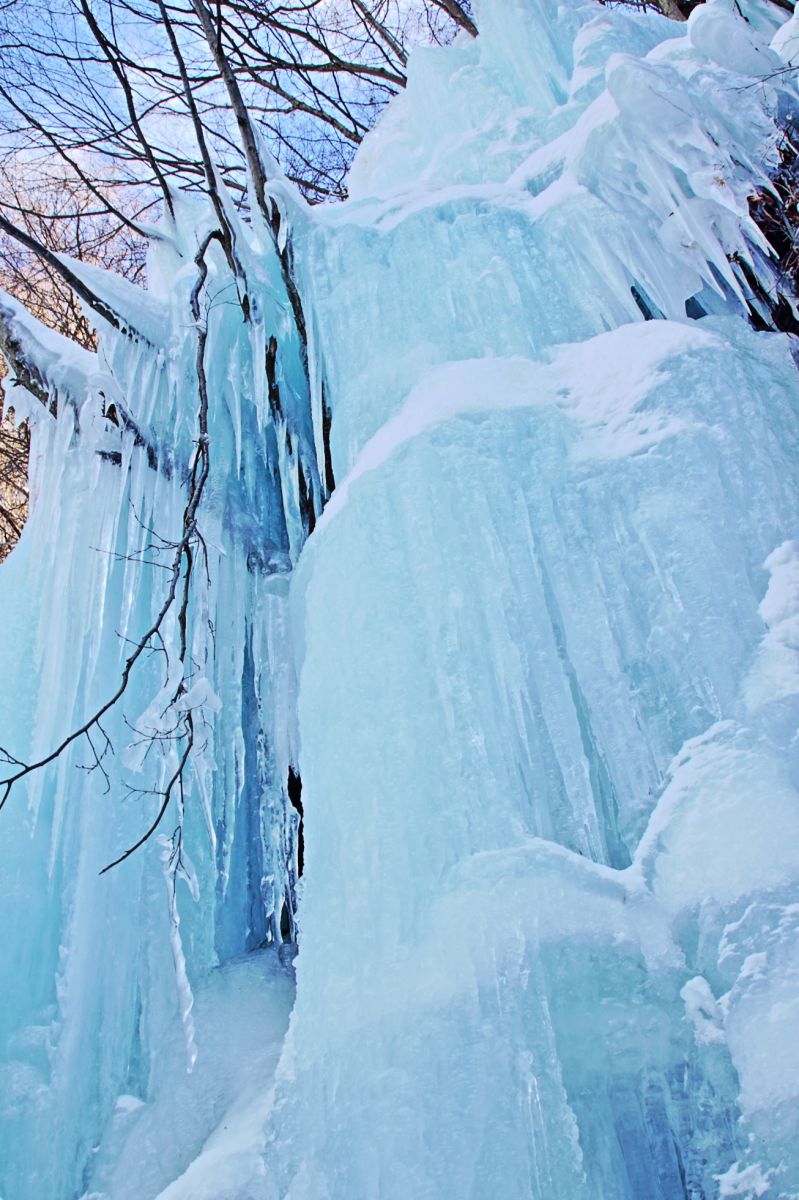 ICE MONSTER | GANREF