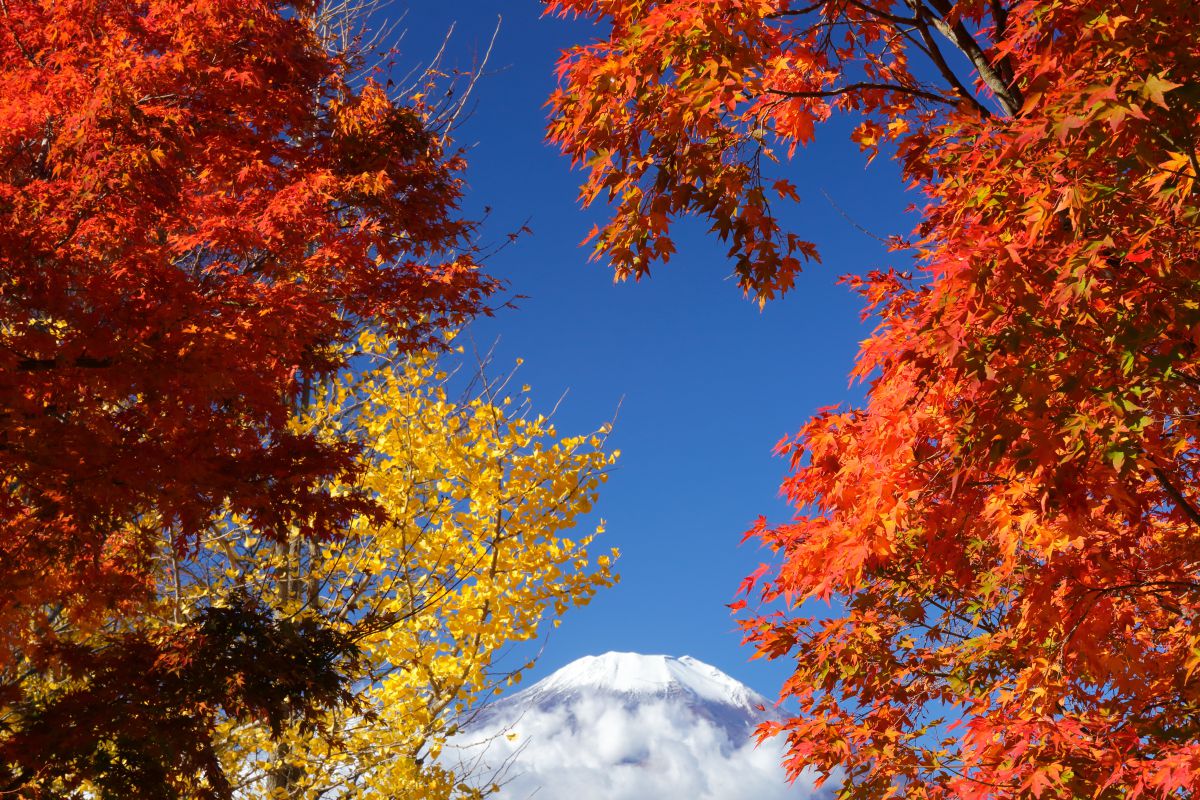 Autumn colors | GANREF