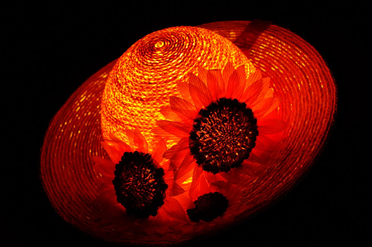 Do you remember that hat? | GANREF