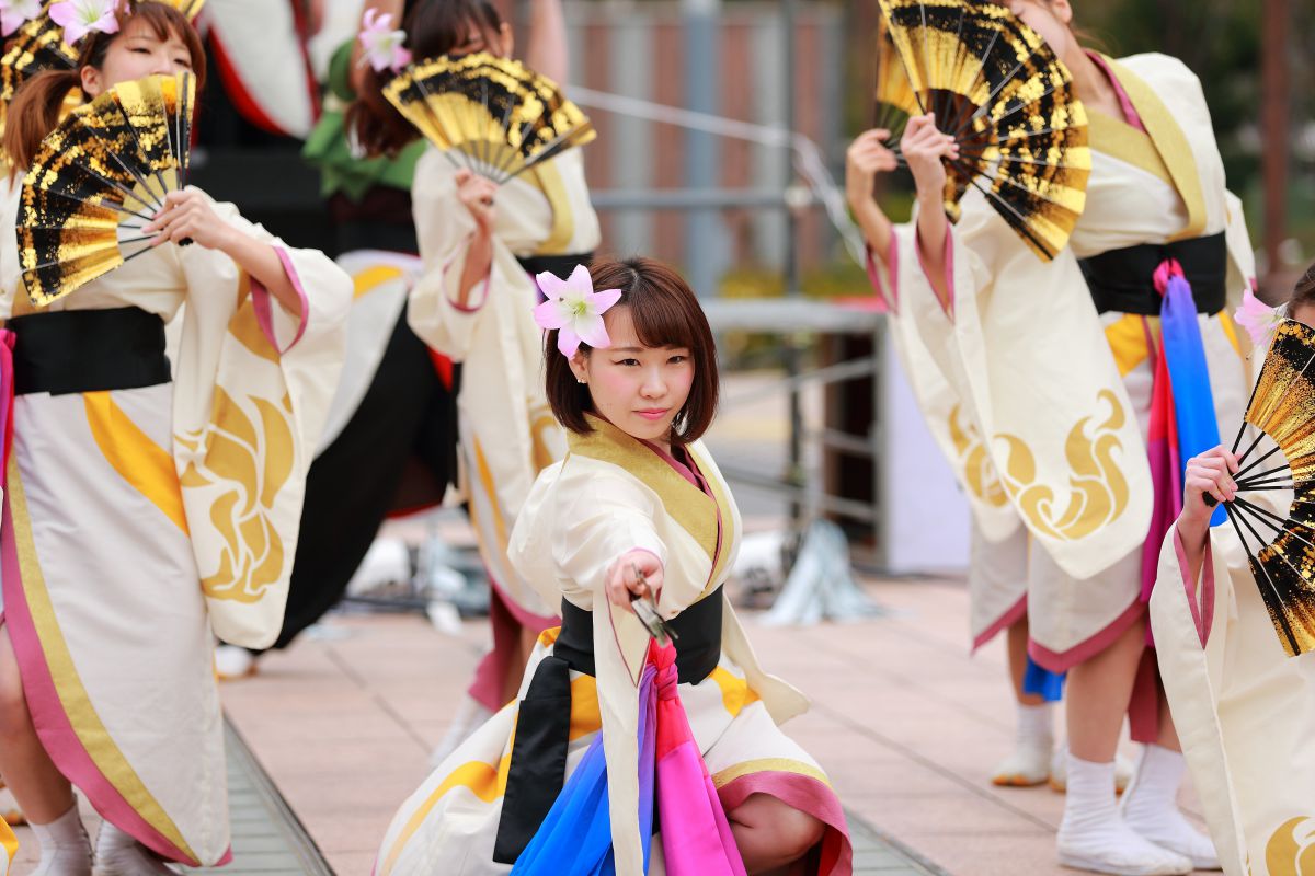 雅に囲まれて | GANREF