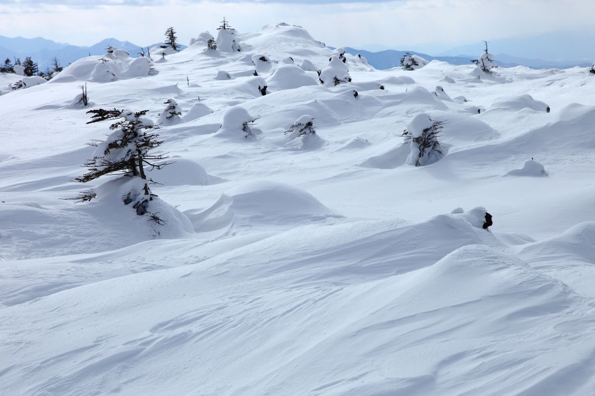 Snow Zombies | GANREF