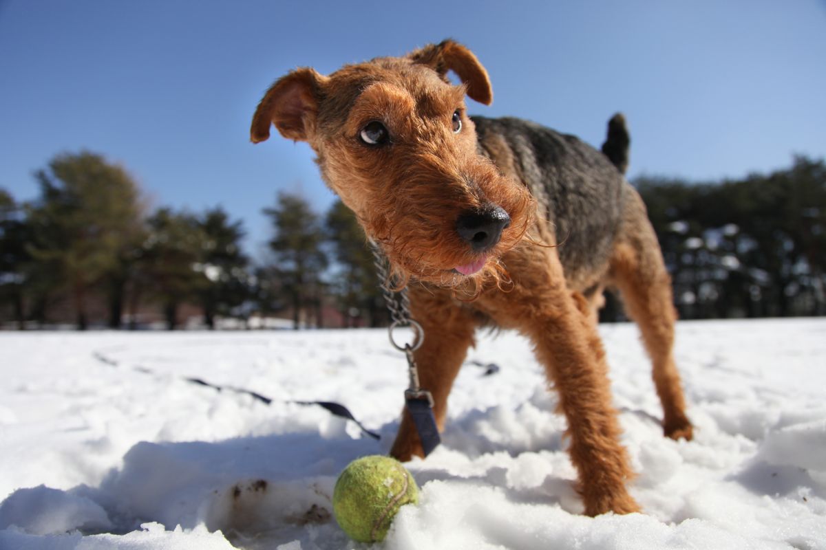 1月3日のCover Boy | GANREF