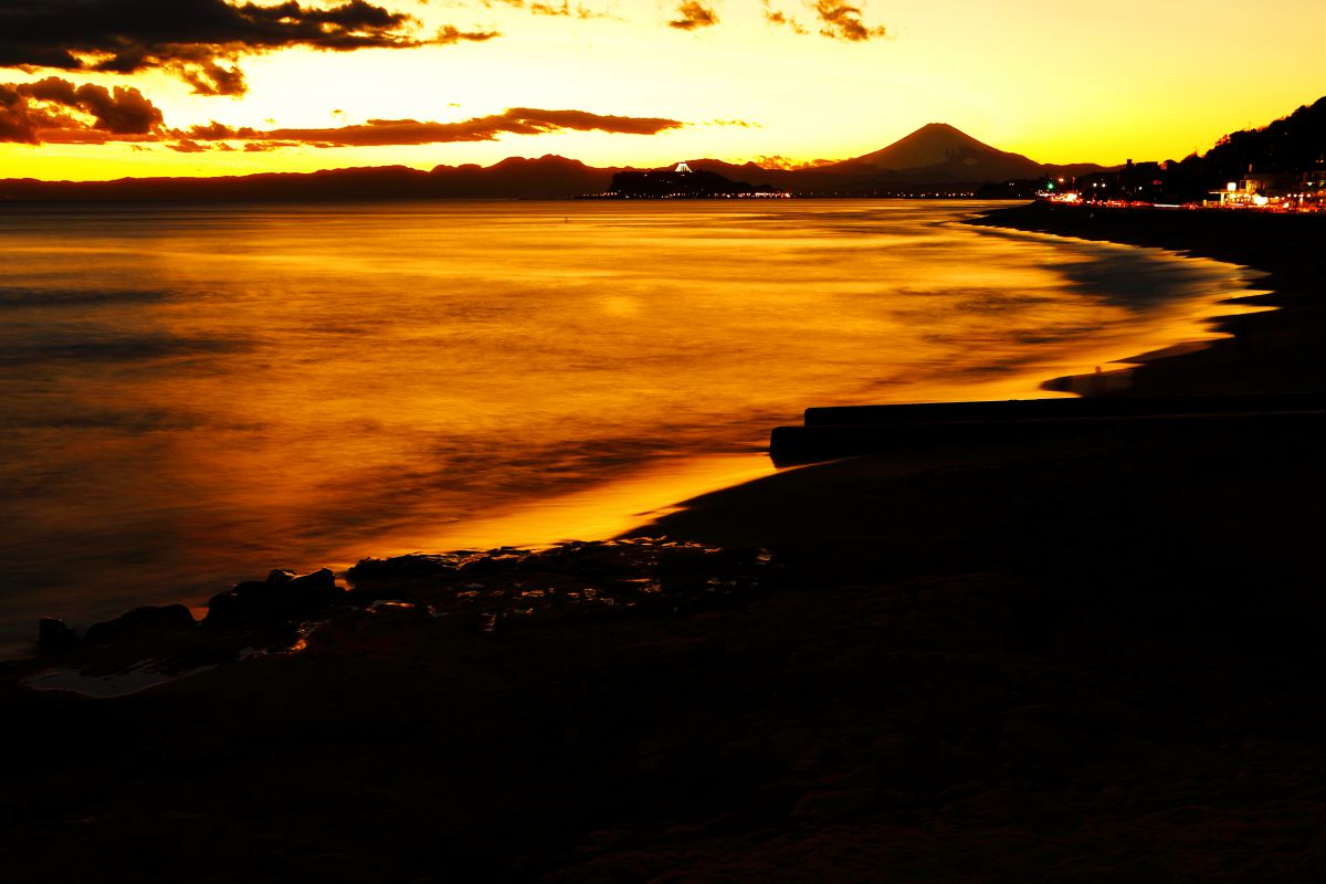 orange seasshore | GANREF