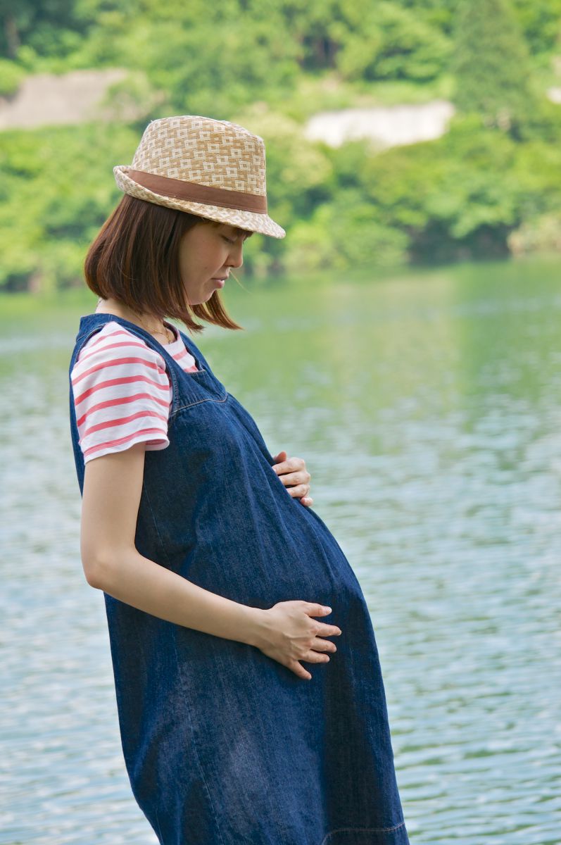 夏の日の記憶 | GANREF