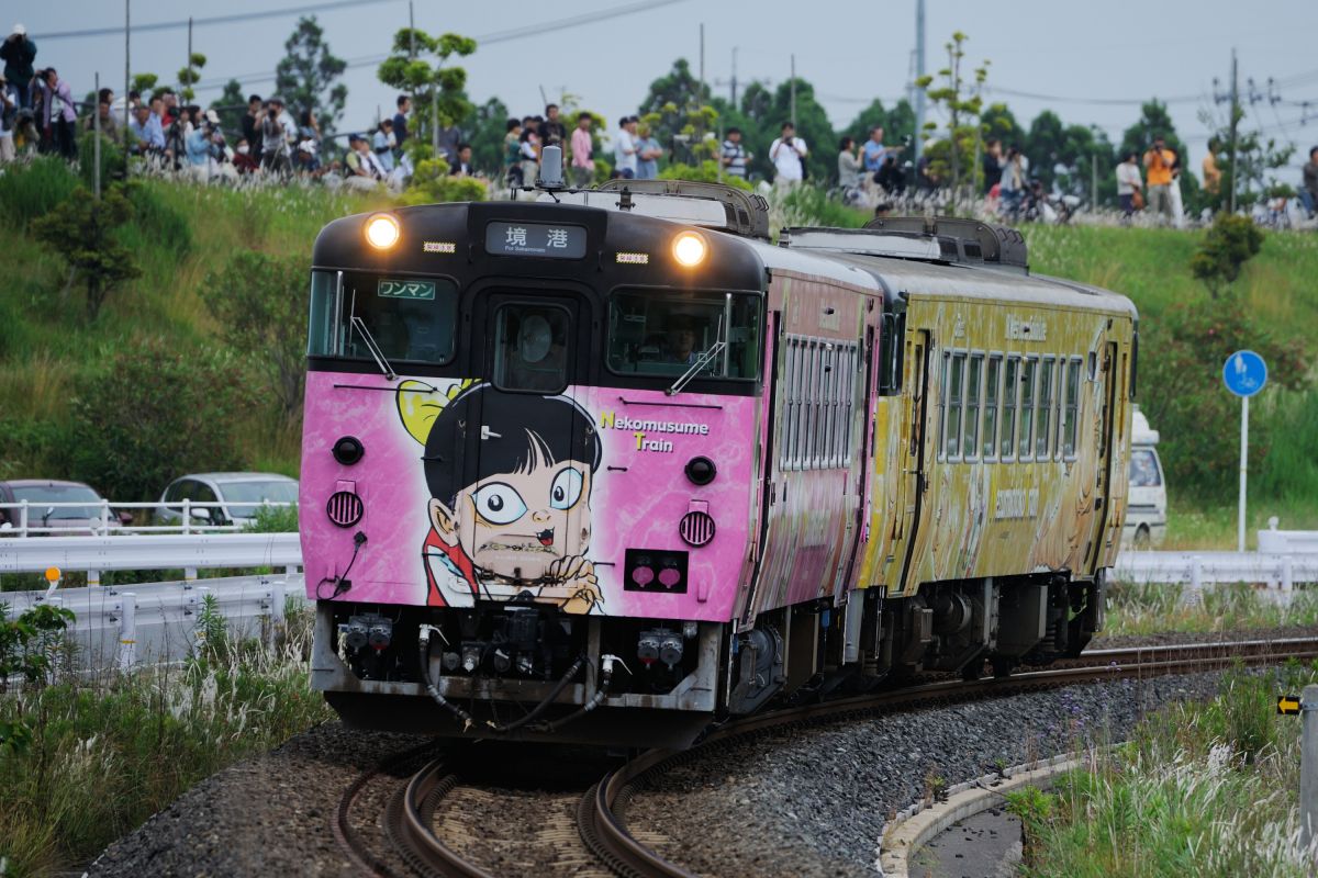 Nekomusume Train | GANREF