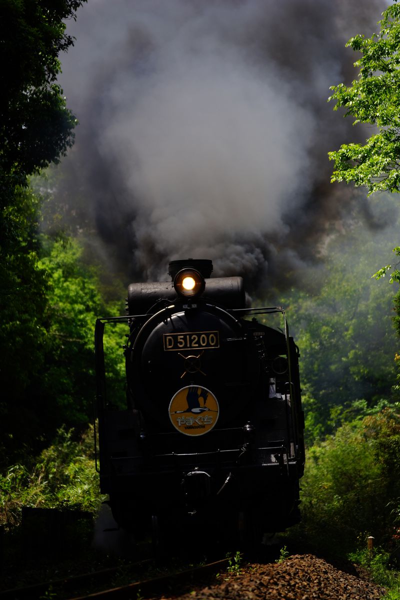 初夏のD51 | GANREF