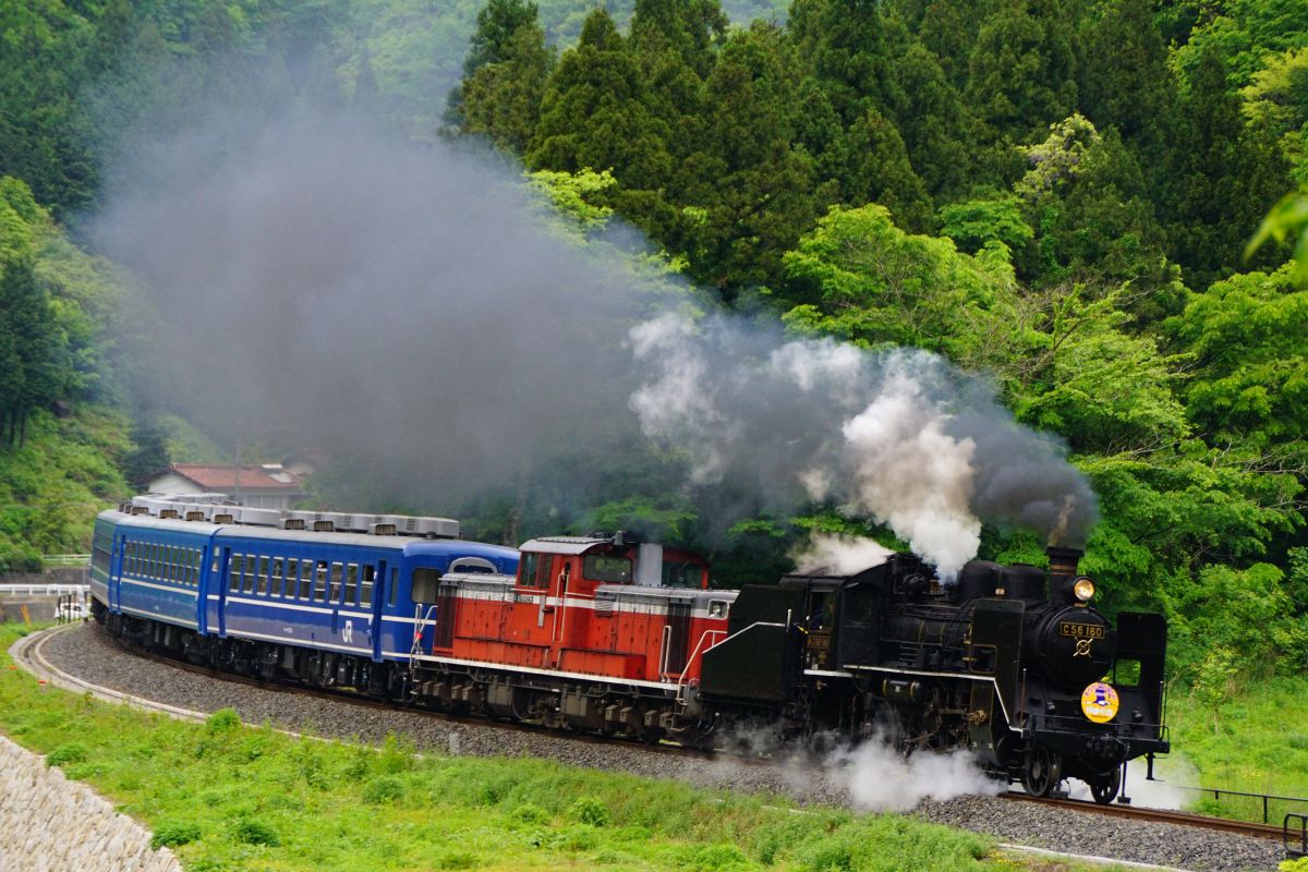 ありがとうC56号 | GANREF