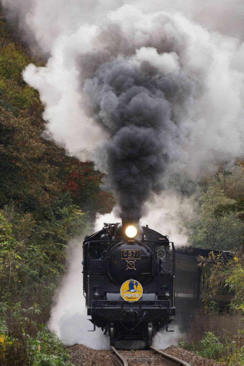 全力登坂C571 | GANREF