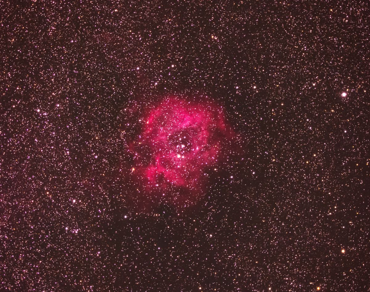 バラ星雲 | GANREF