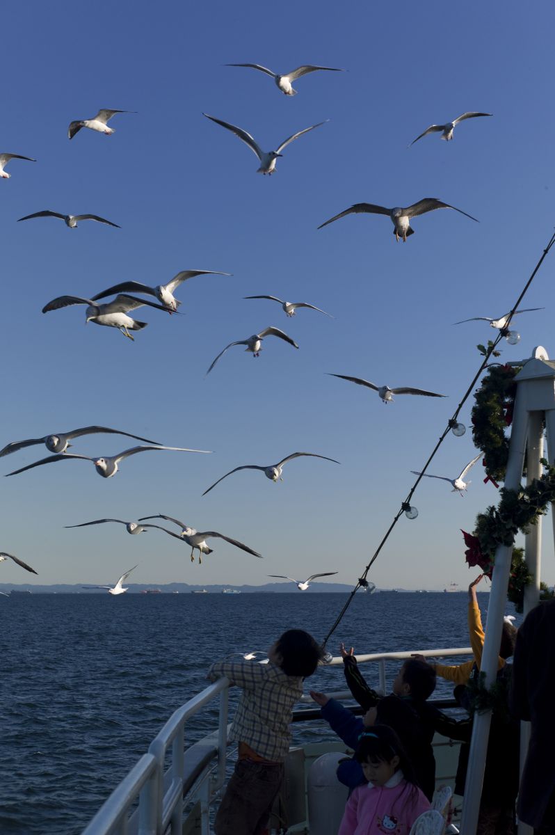 頭上の同行者たち | GANREF