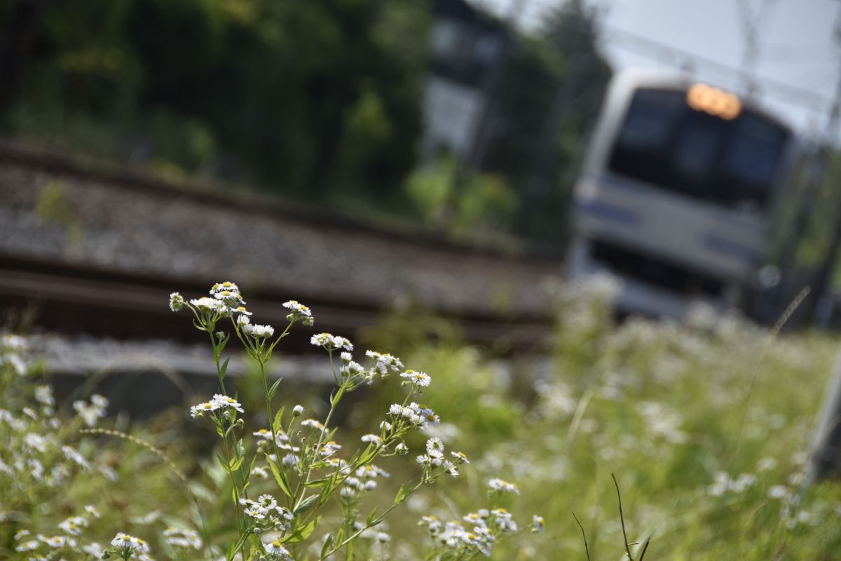 JR横須賀線 | GANREF