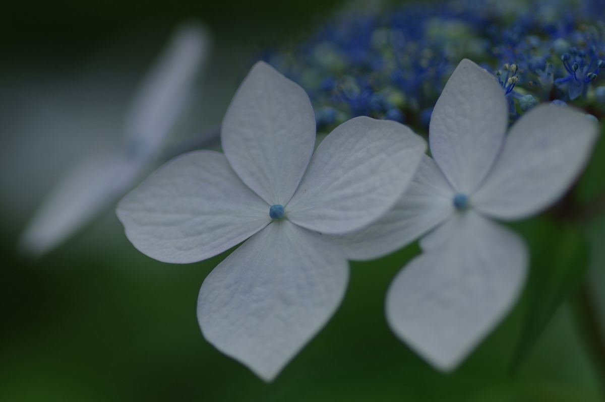 neat and clean | GANREF