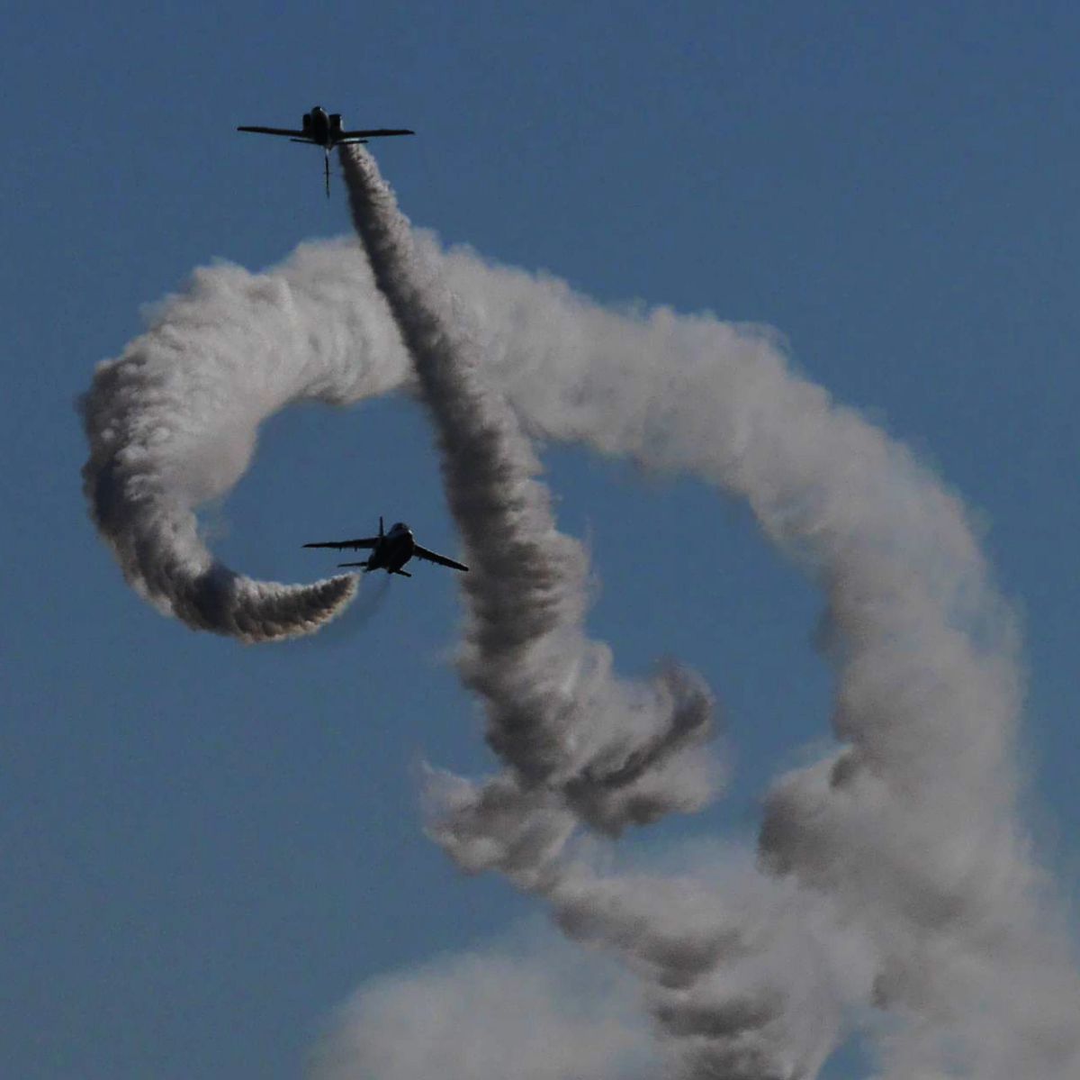 Cork Screw by Blue Impulse | GANREF