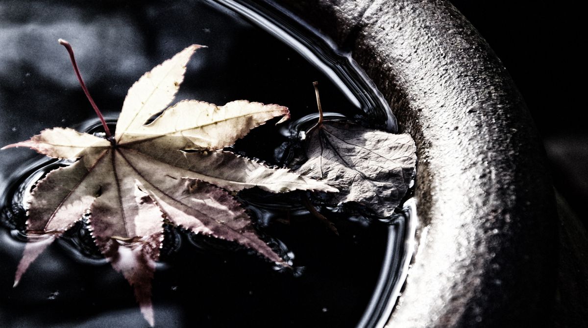 a moment of Shuzenji-temple | GANREF