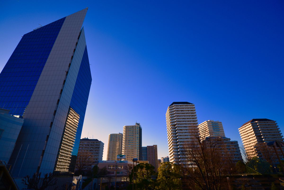 Sky Scraper | GANREF