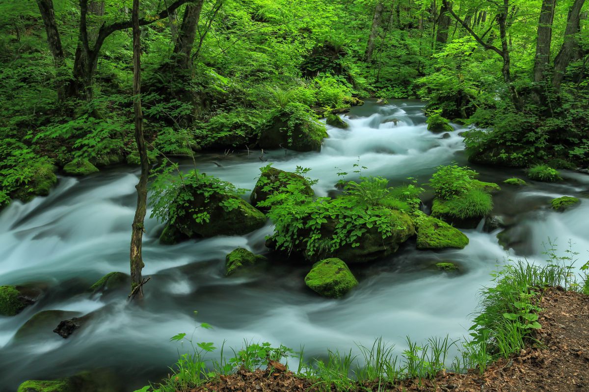 初夏爽流 | GANREF