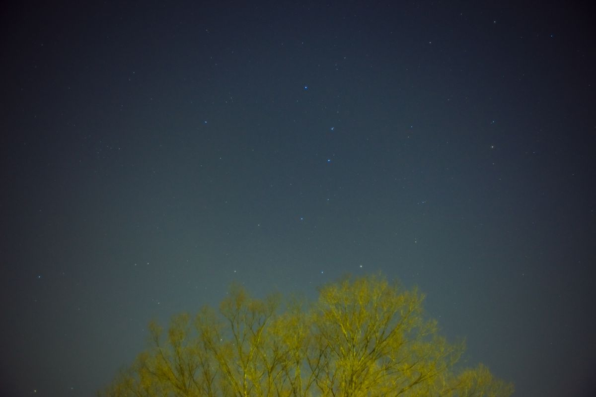 Softon STAR | GANREF