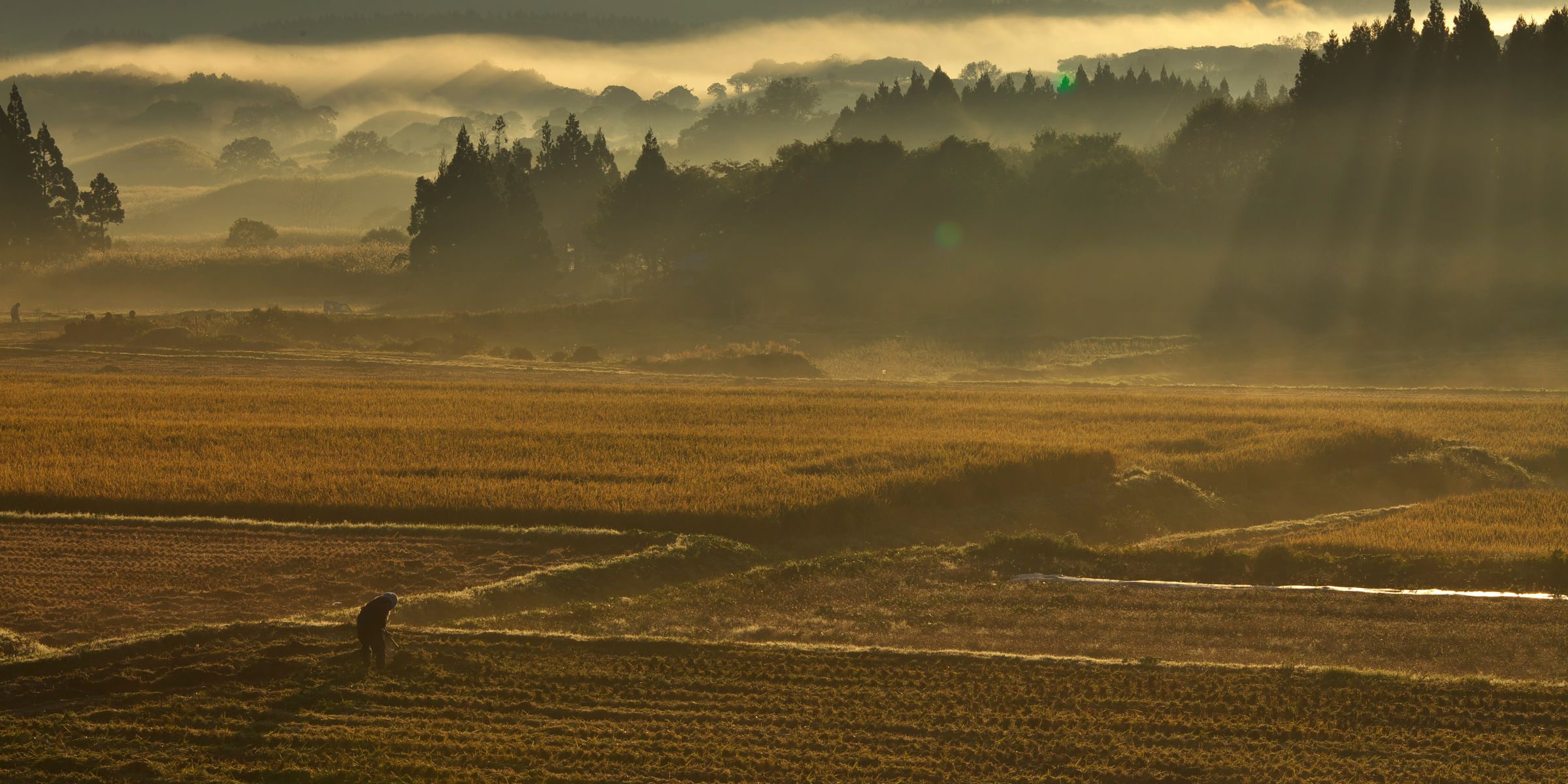 光の中でⅡ | GANREF