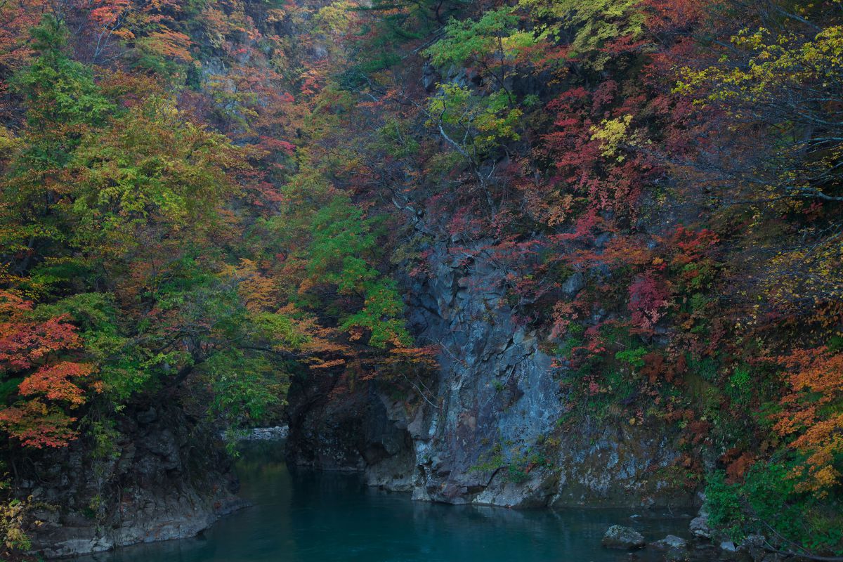 錦秋の谷間に | GANREF