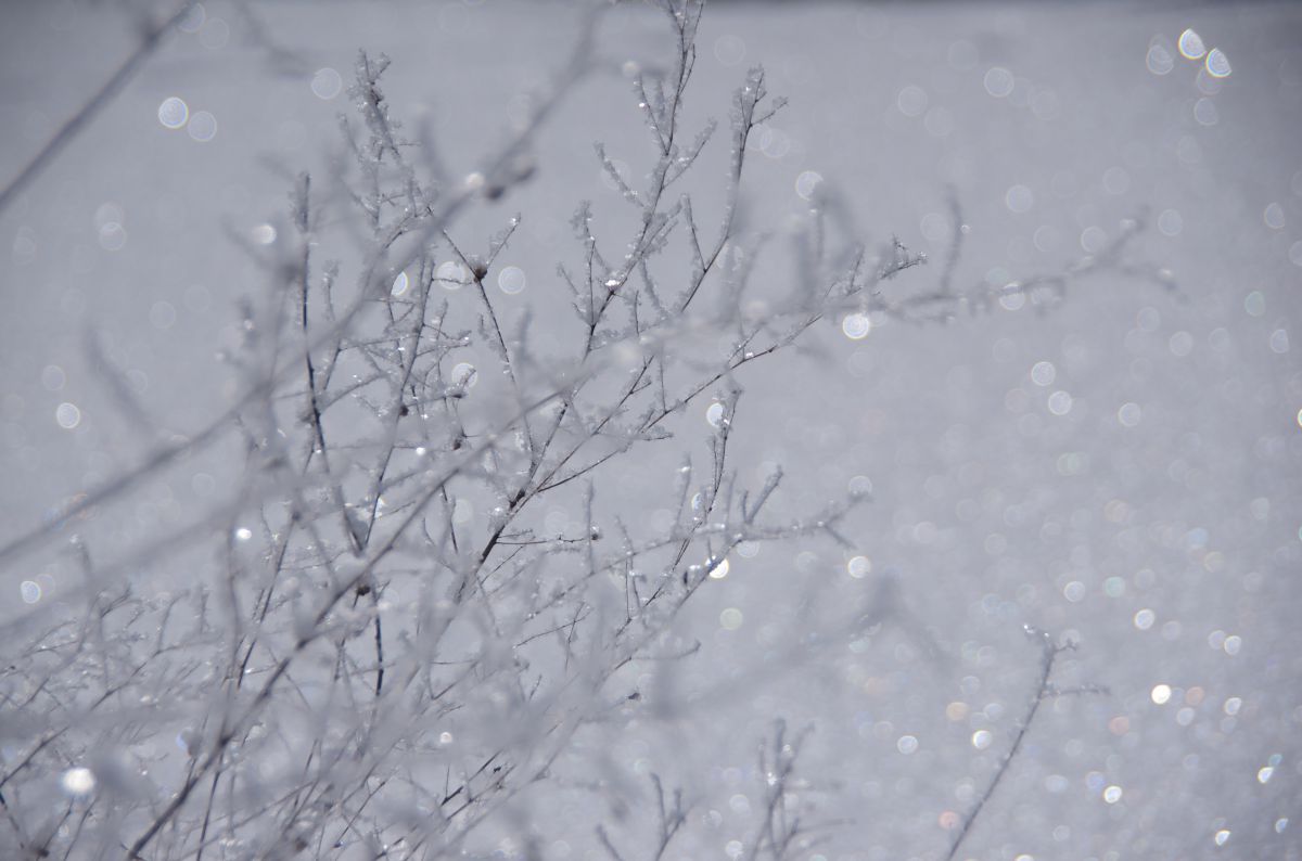 jewelry box | GANREF