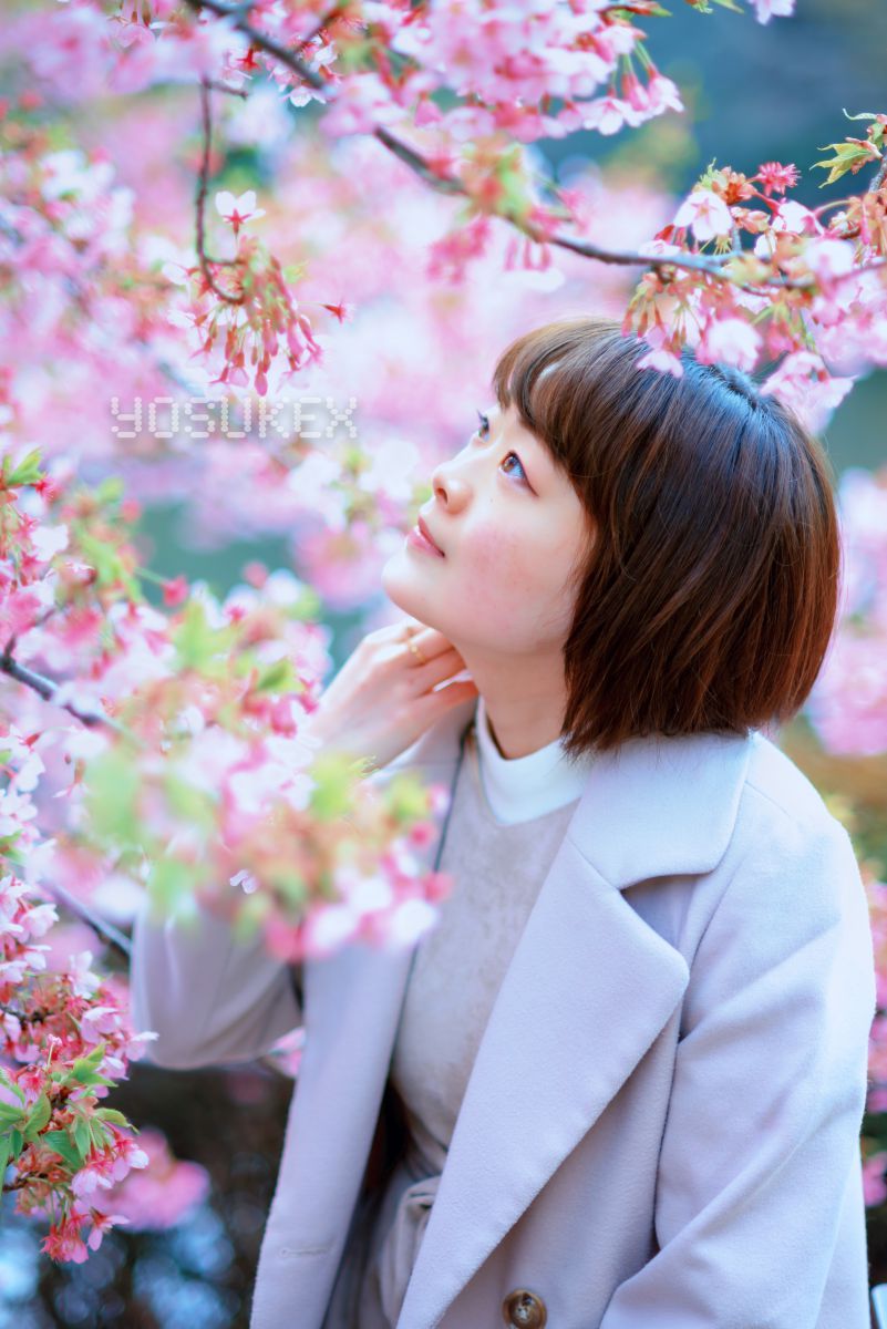 これから | GANREF