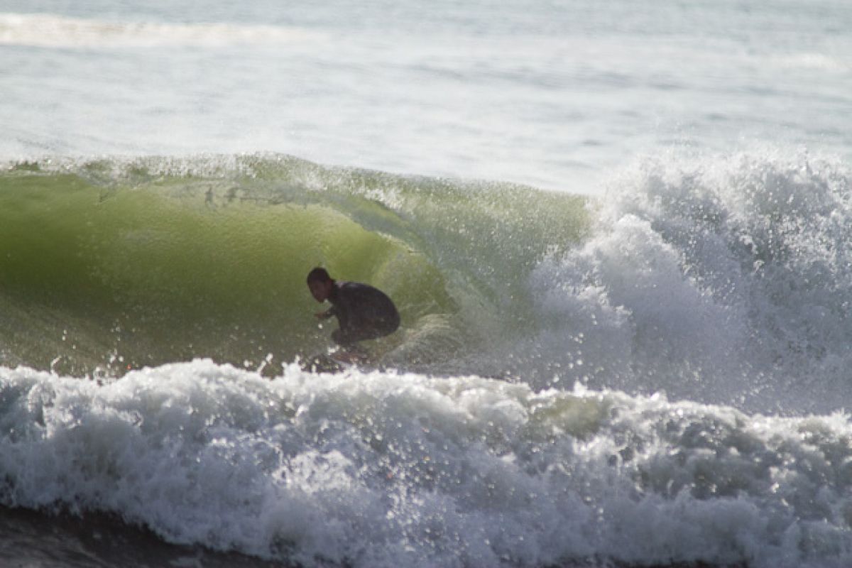 バレルイン | GANREF