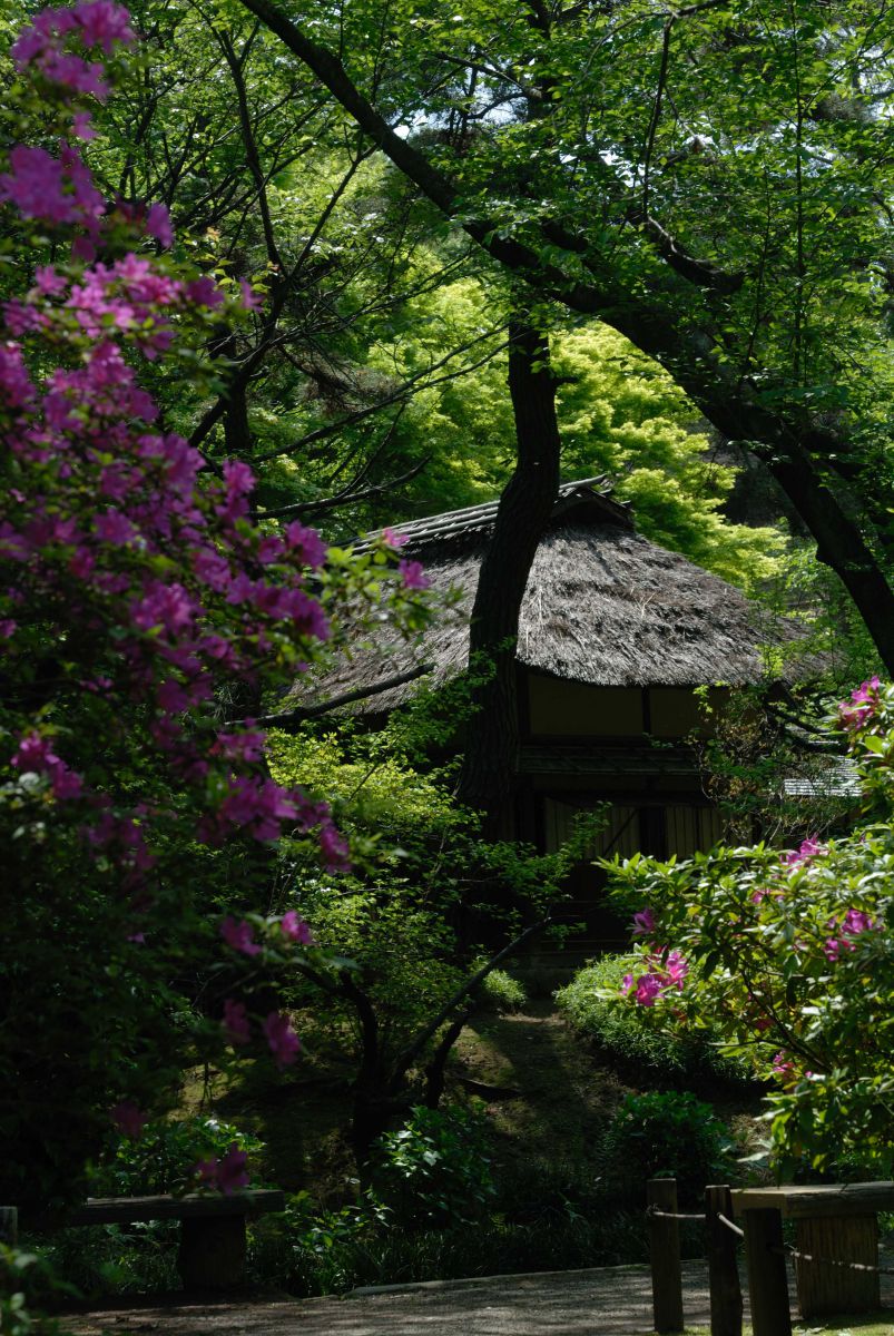 MSW_1736.jpg | GANREF