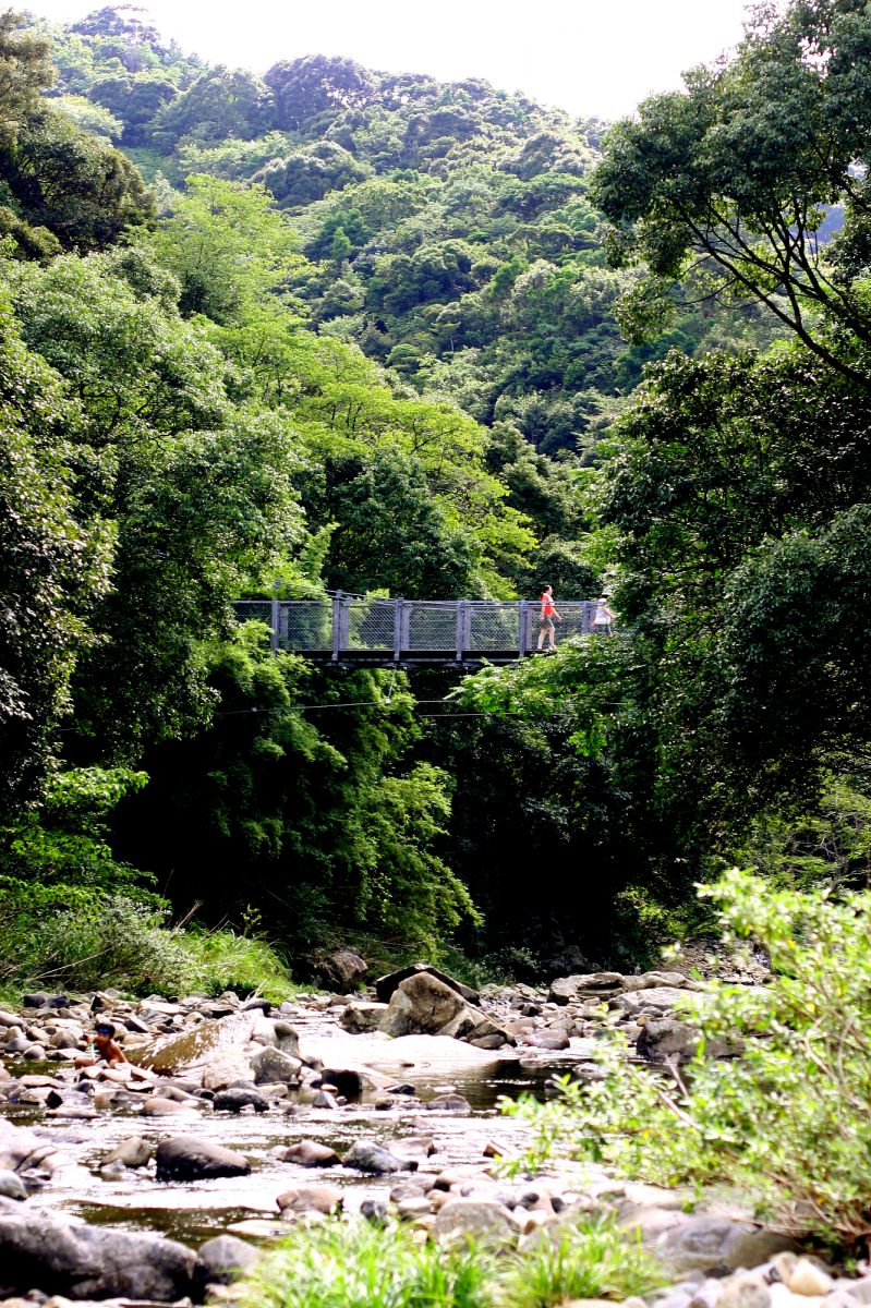 wire bridge | GANREF