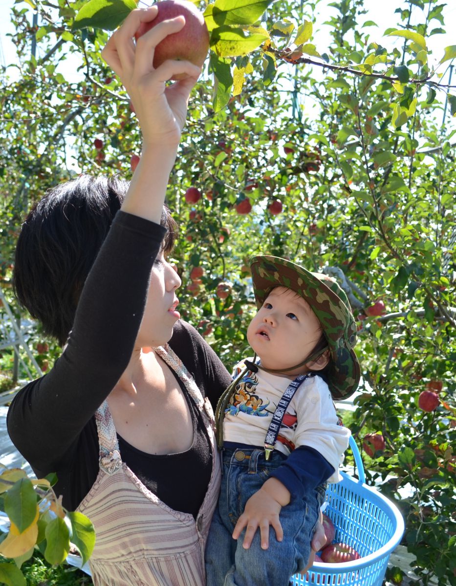 これでいい？ | GANREF