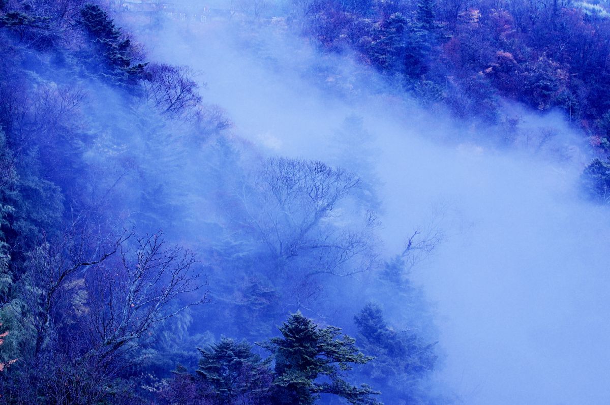 sea and mountains | GANREF