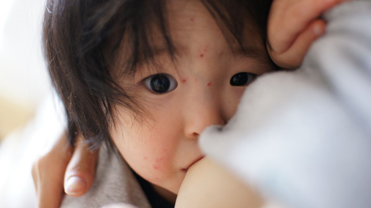 至福の時 | GANREF