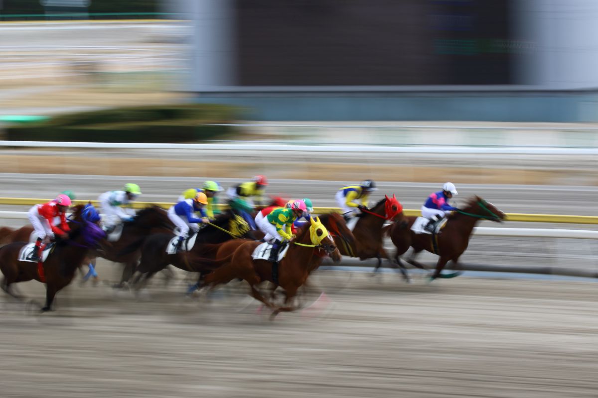 Colorful Race | GANREF