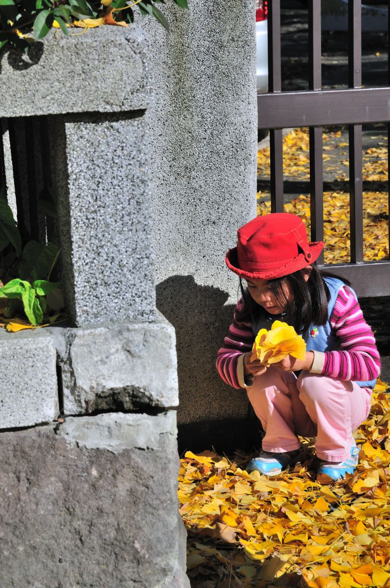 ひとりじめ | GANREF