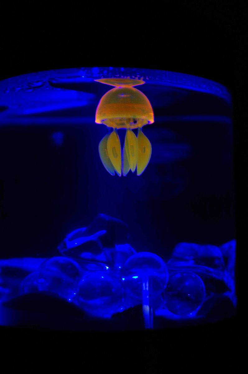 AQUA FLOAT KURAGE 3 | GANREF