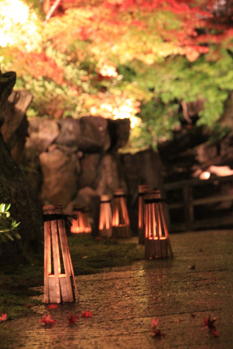 らいとあっぷ | GANREF