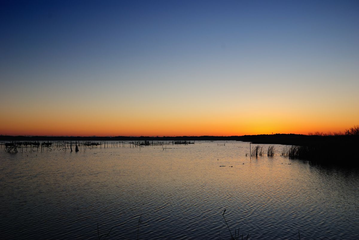 At the time of stillness | GANREF