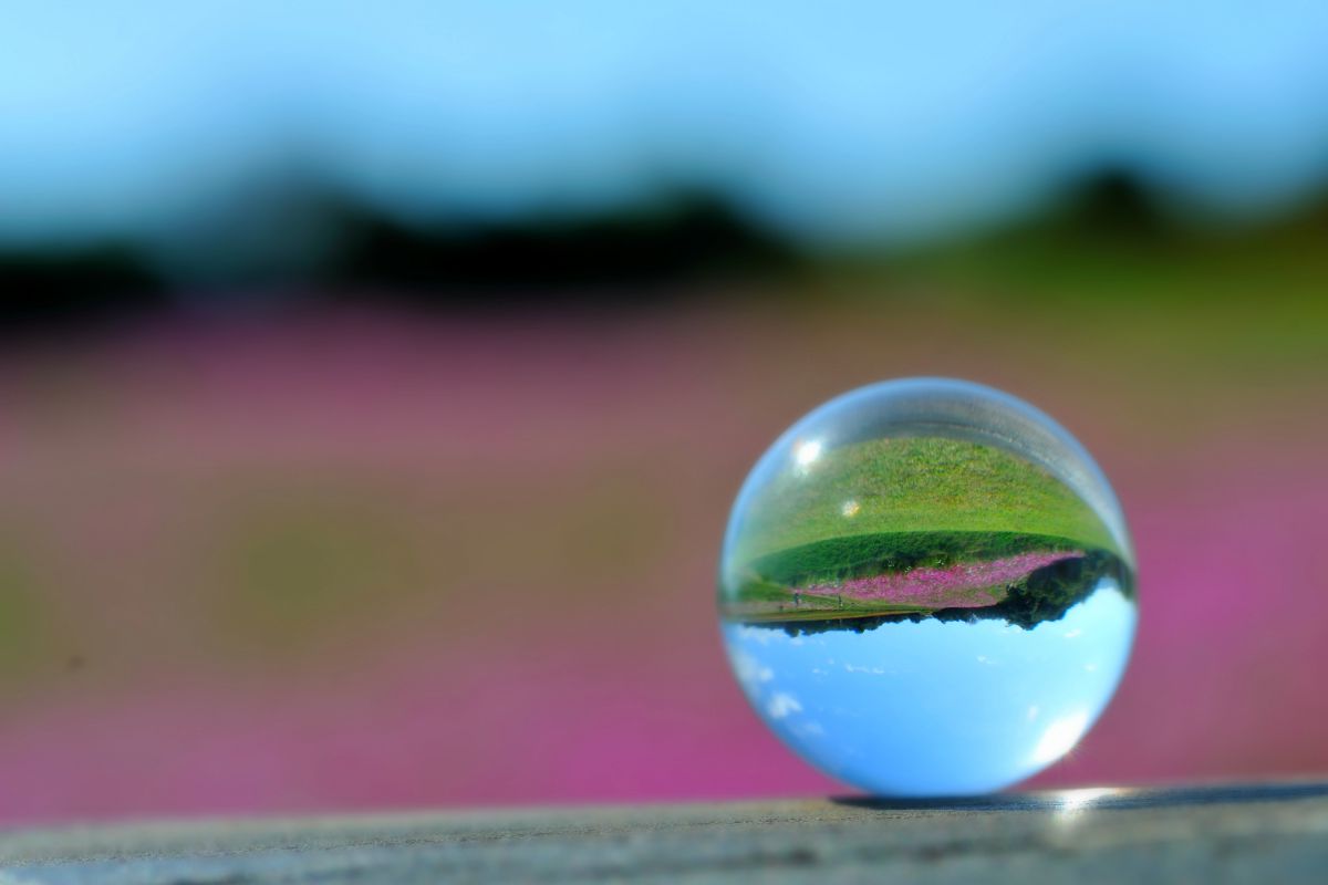 Pink planet | GANREF