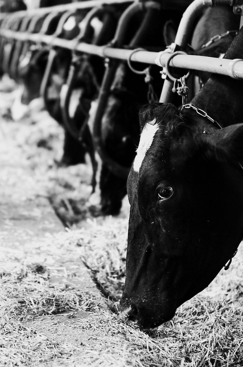 Meaning of eating | GANREF