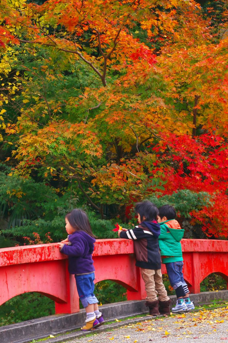 One girl and two boys | GANREF