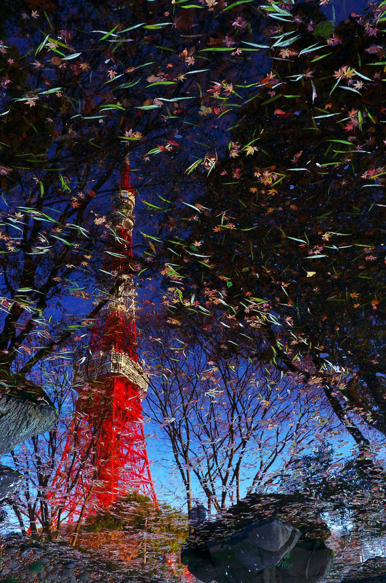 Reflection ② | GANREF