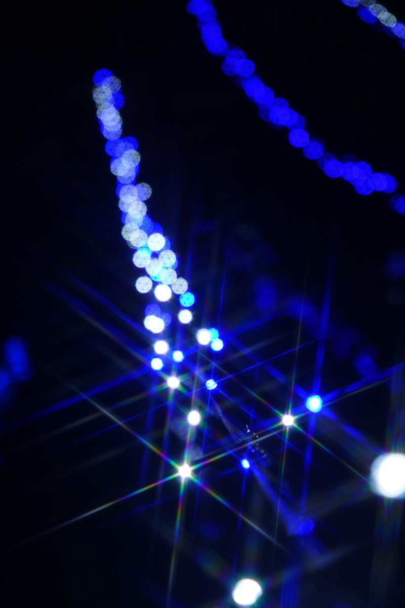 イルミネーションPart.2 | GANREF